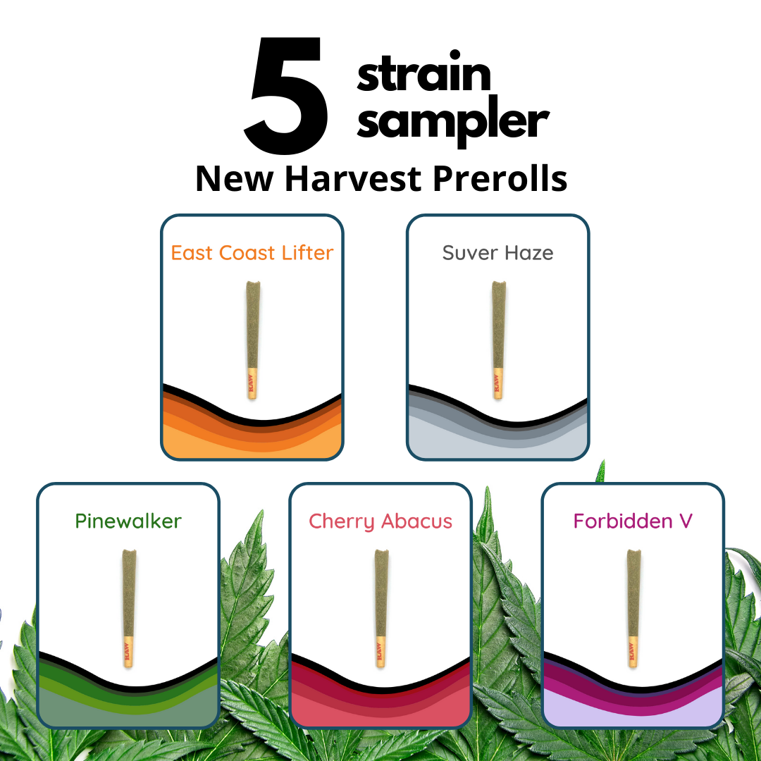 NEW5-strainprerollsampler-2_1200x1200.png?v=1646790775